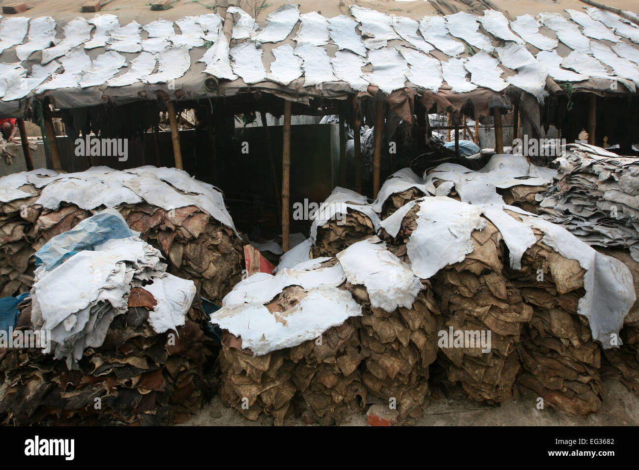 Drying leather under sun. The processed leather will be used to make ...