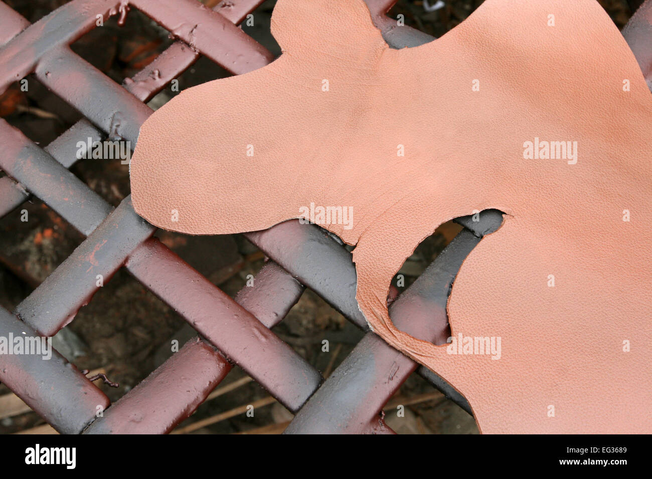 Drying leather under sun. The processed leather will be used to make ...