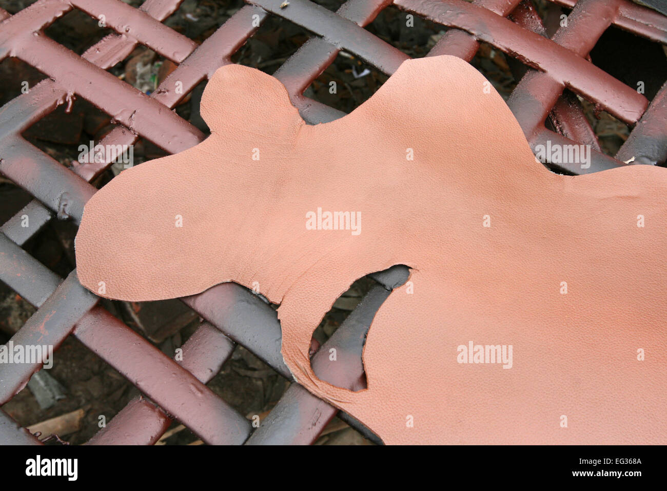 Drying leather under sun. The processed leather will be used to make ...