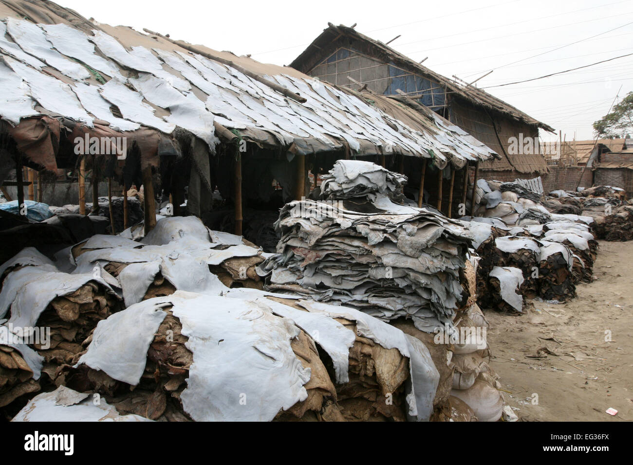Drying leather under sun. The processed leather will be used to make ...