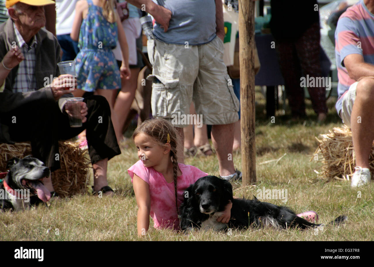 Dog with young owner taking part in a fun dog show at the Ellingham ...