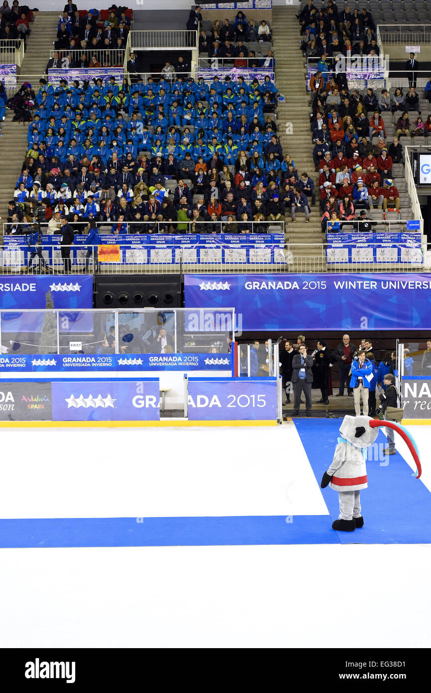 Granada Sport Palace, Granada, Spain. 14th Feb, 2015. closing ceremony ...