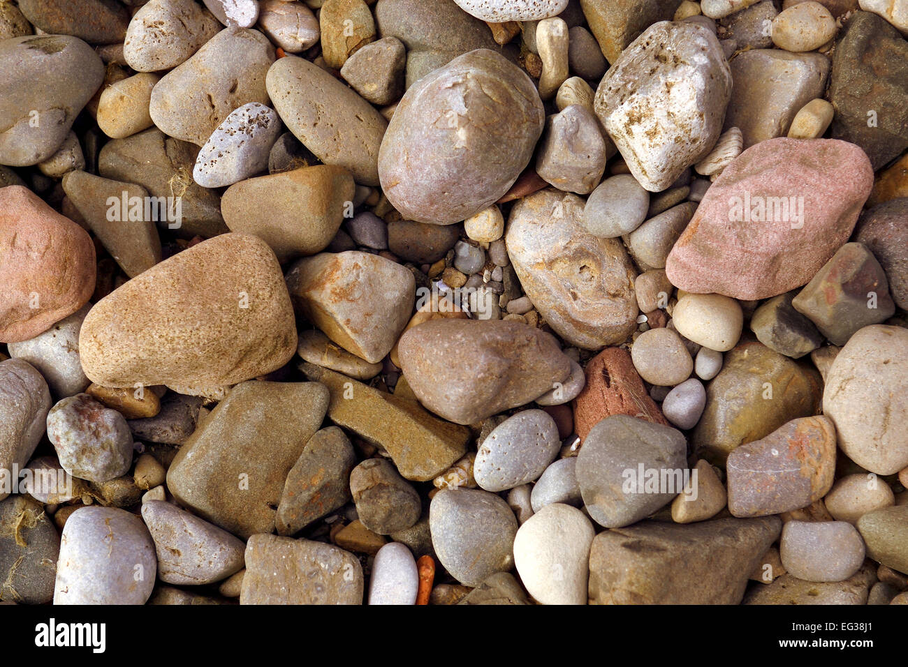 Pebbles at the coast hi-res stock photography and images - Alamy