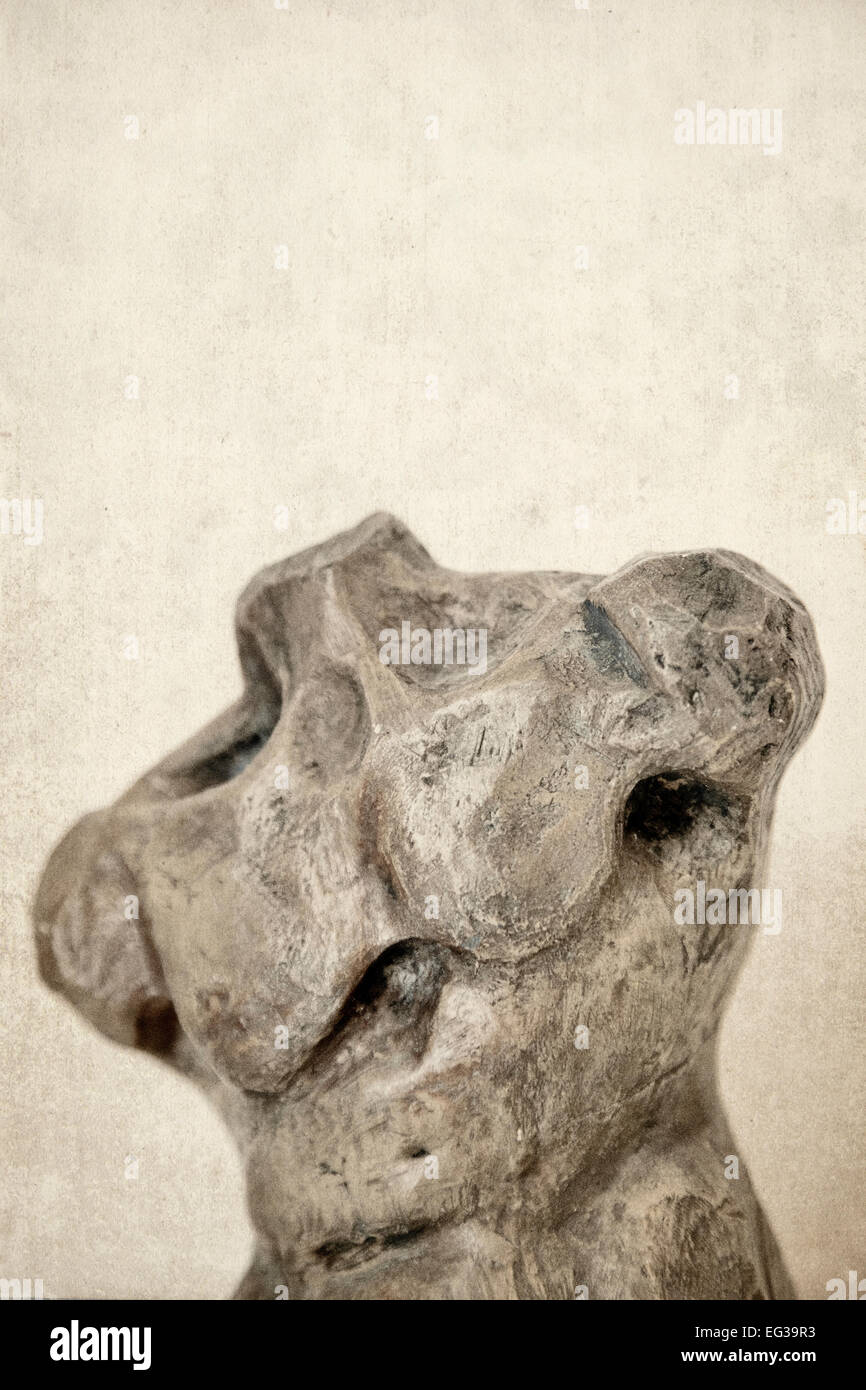 Clay Male Torso Stock Photo - Alamy