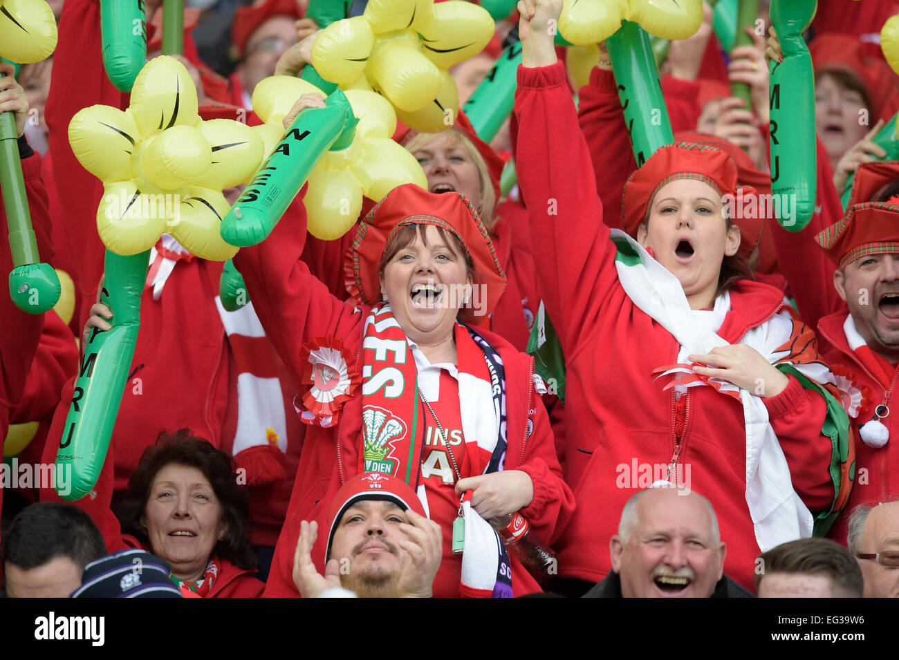 Welsh rugby fans stadium hi-res stock photography and images - Alamy