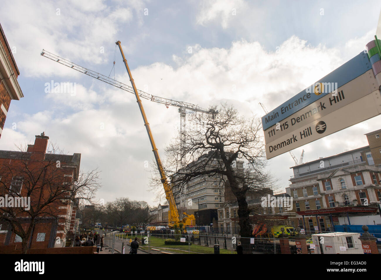 The erection of a crane that will construct the King's College Hospital ...