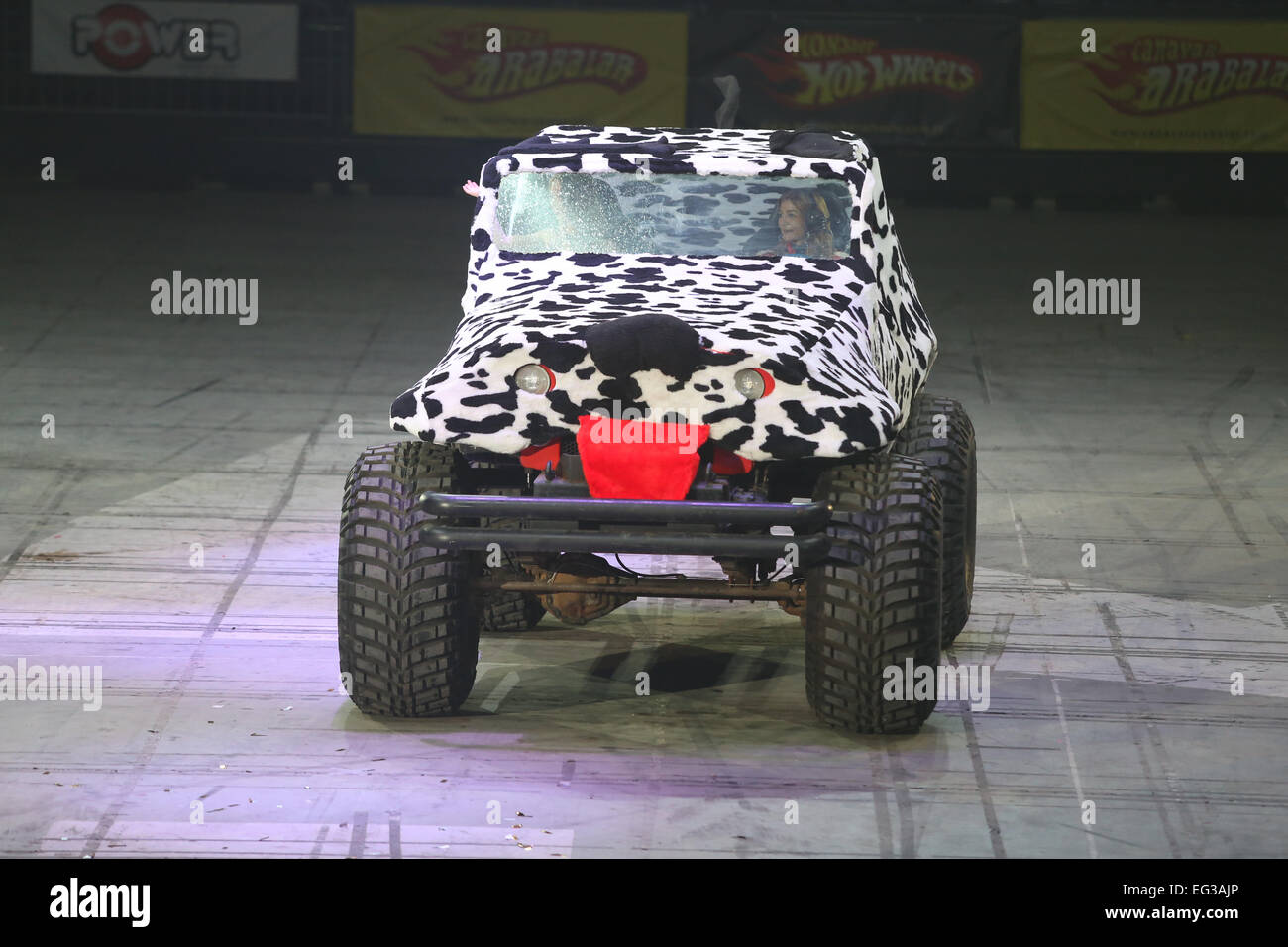 ISTANBUL, TURKEY - FEBRUARY 01, 2015: Turkish Rally Female Drivers ...