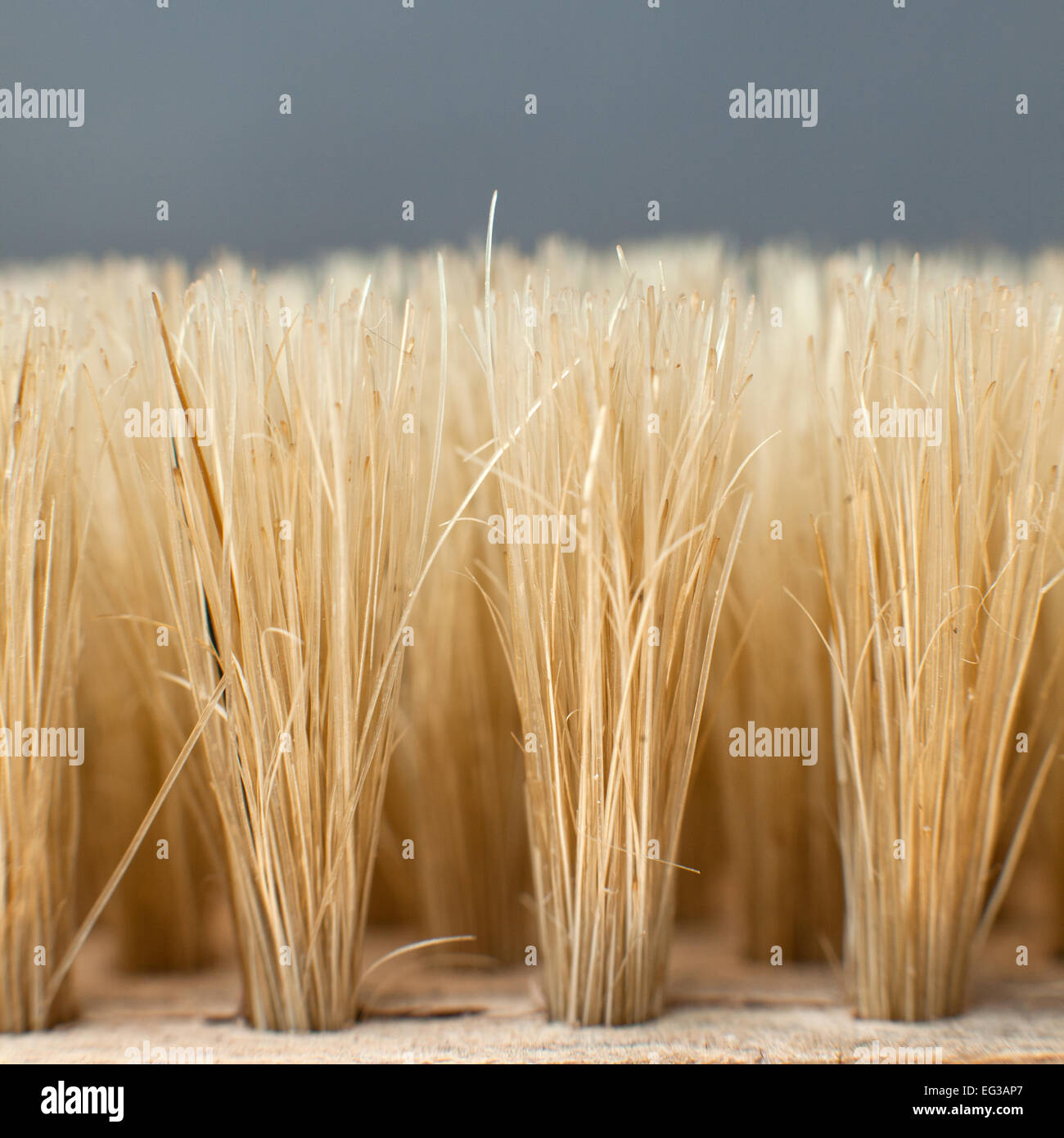 Cleaning purpose hi-res stock photography and images - Alamy