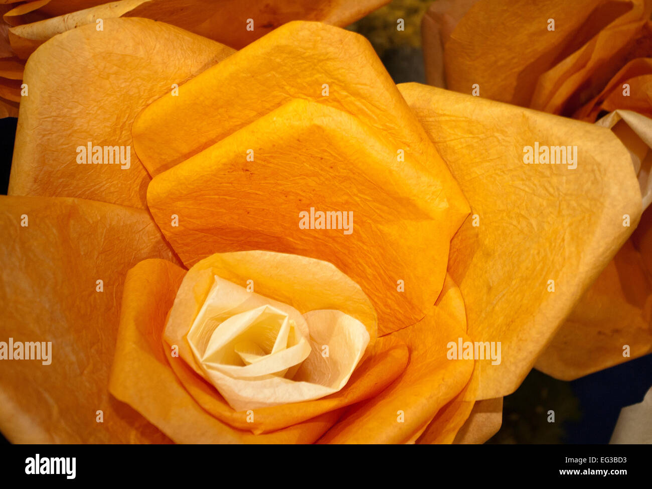Beautiful yellow paper rose flower as a background Stock Photo - Alamy