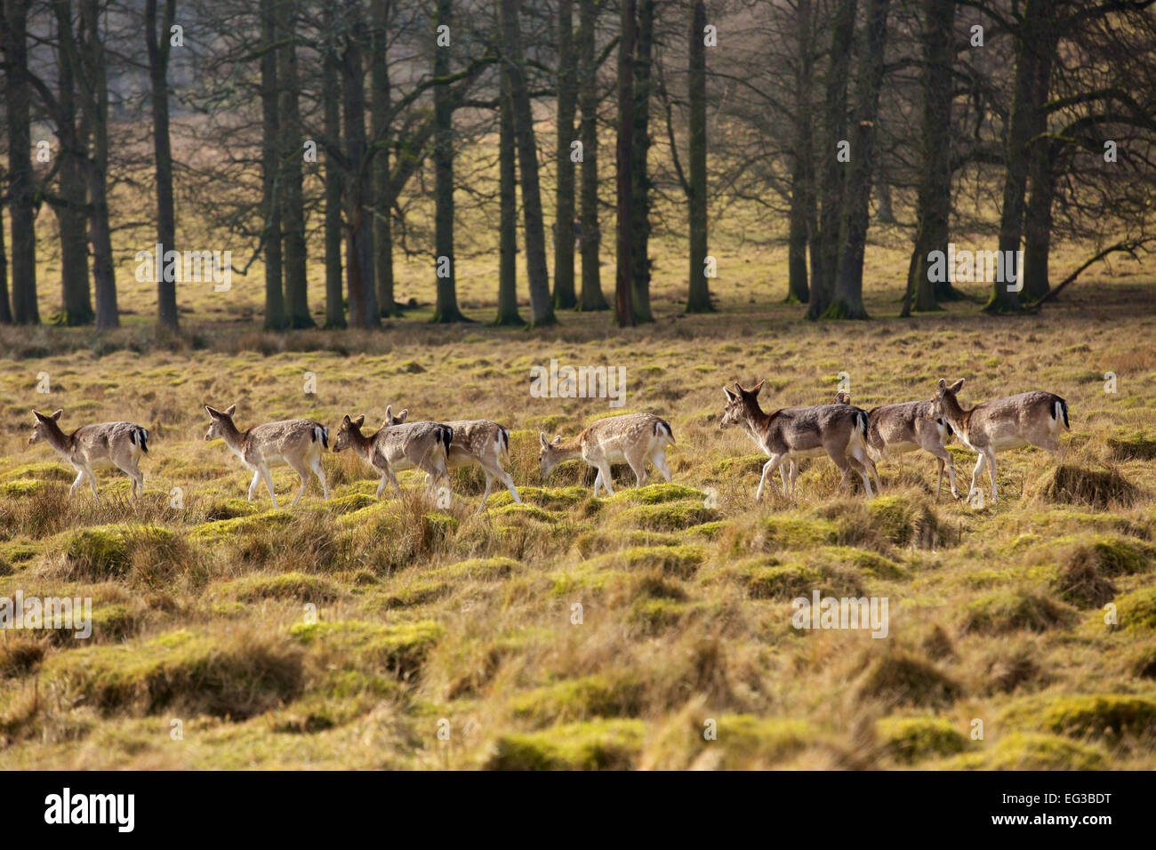 Camera moving left to right hi-res stock photography and images - Alamy