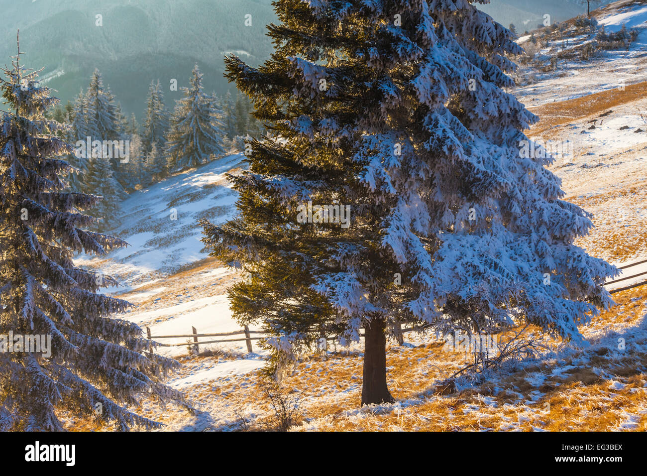 Beautiful winter landscape with snow covered trees Stock Photo - Alamy