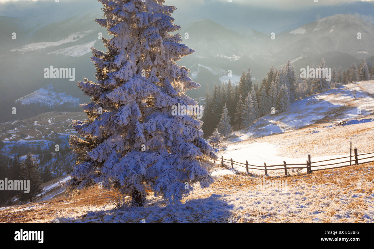 Majestic winter landscape glowing by sunlight. Dramatic wintry scene ...