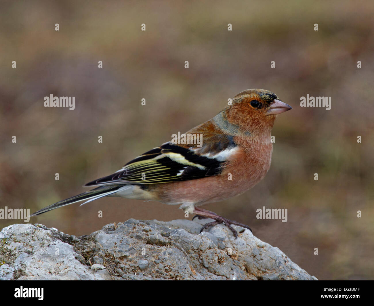 Perched rock hi-res stock photography and images - Alamy