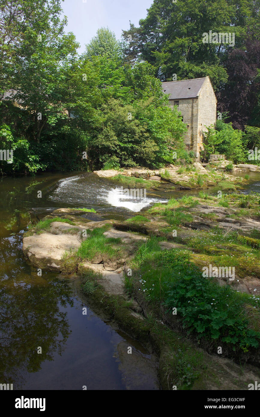 Thrum Mill, River Coquet near Rothbury Stock Photo - Alamy
