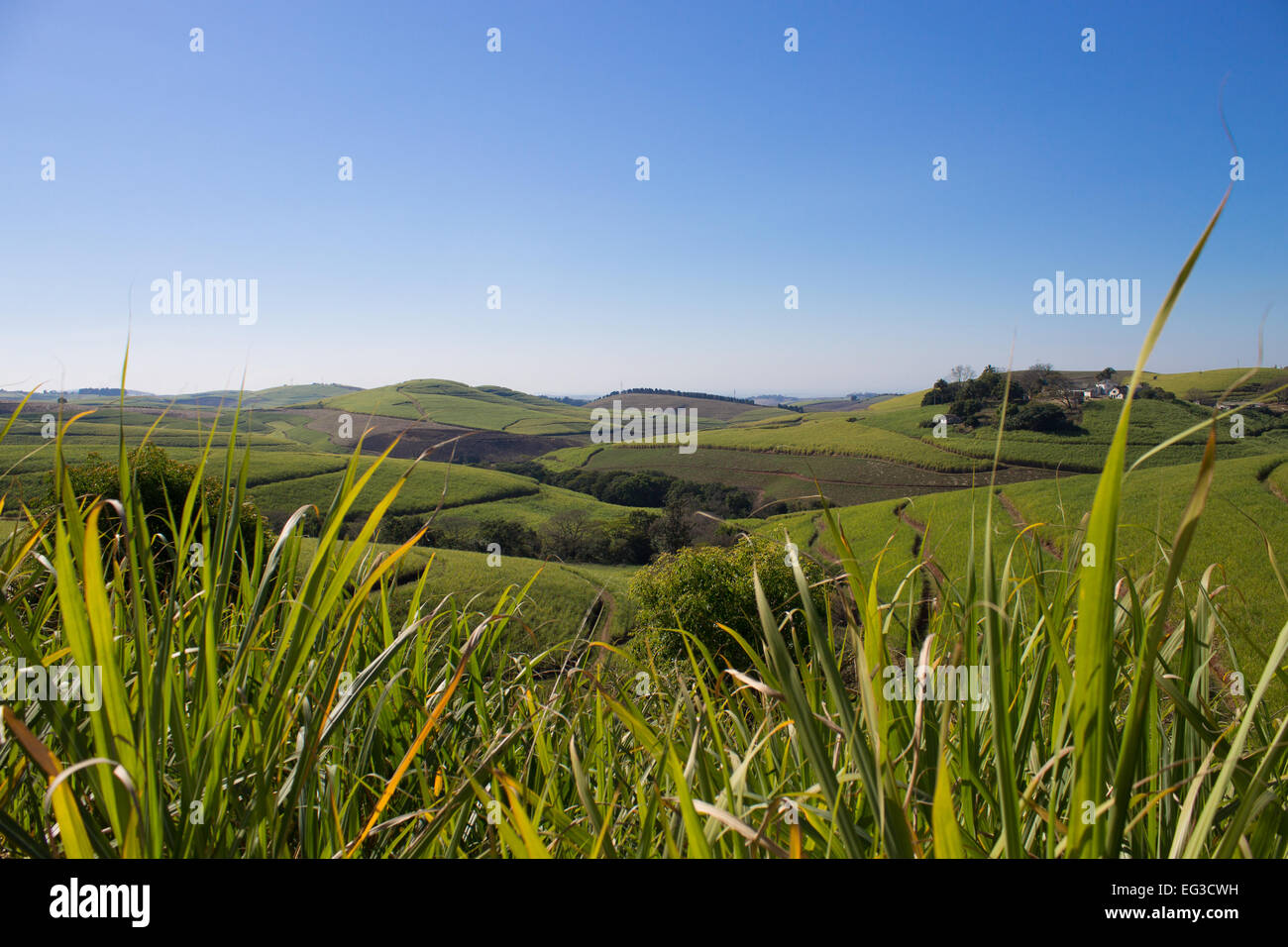 Grass and hills Stock Photo - Alamy