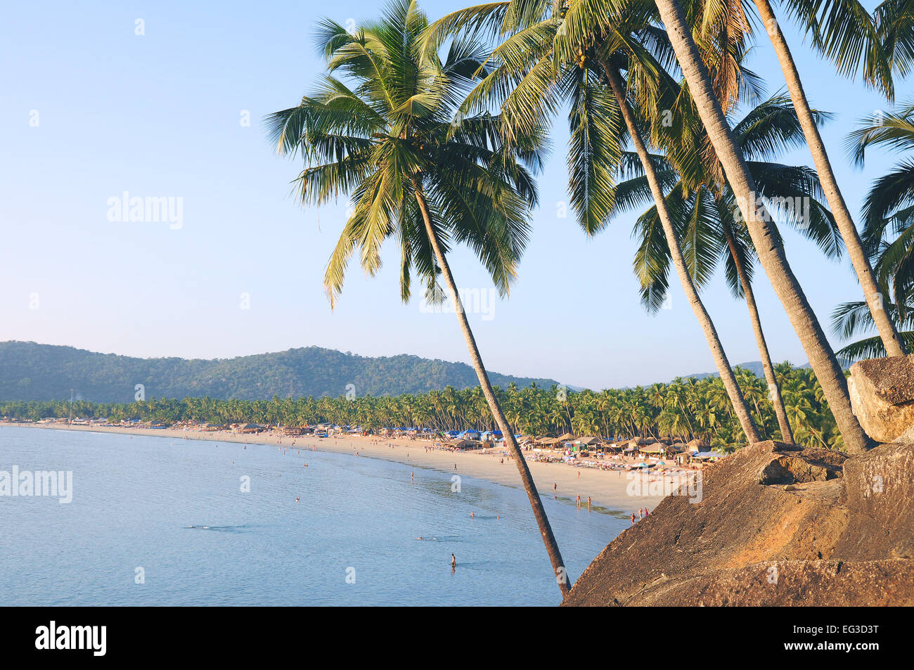Palm trees on Palolem beach GOA, India Stock Photo - Alamy
