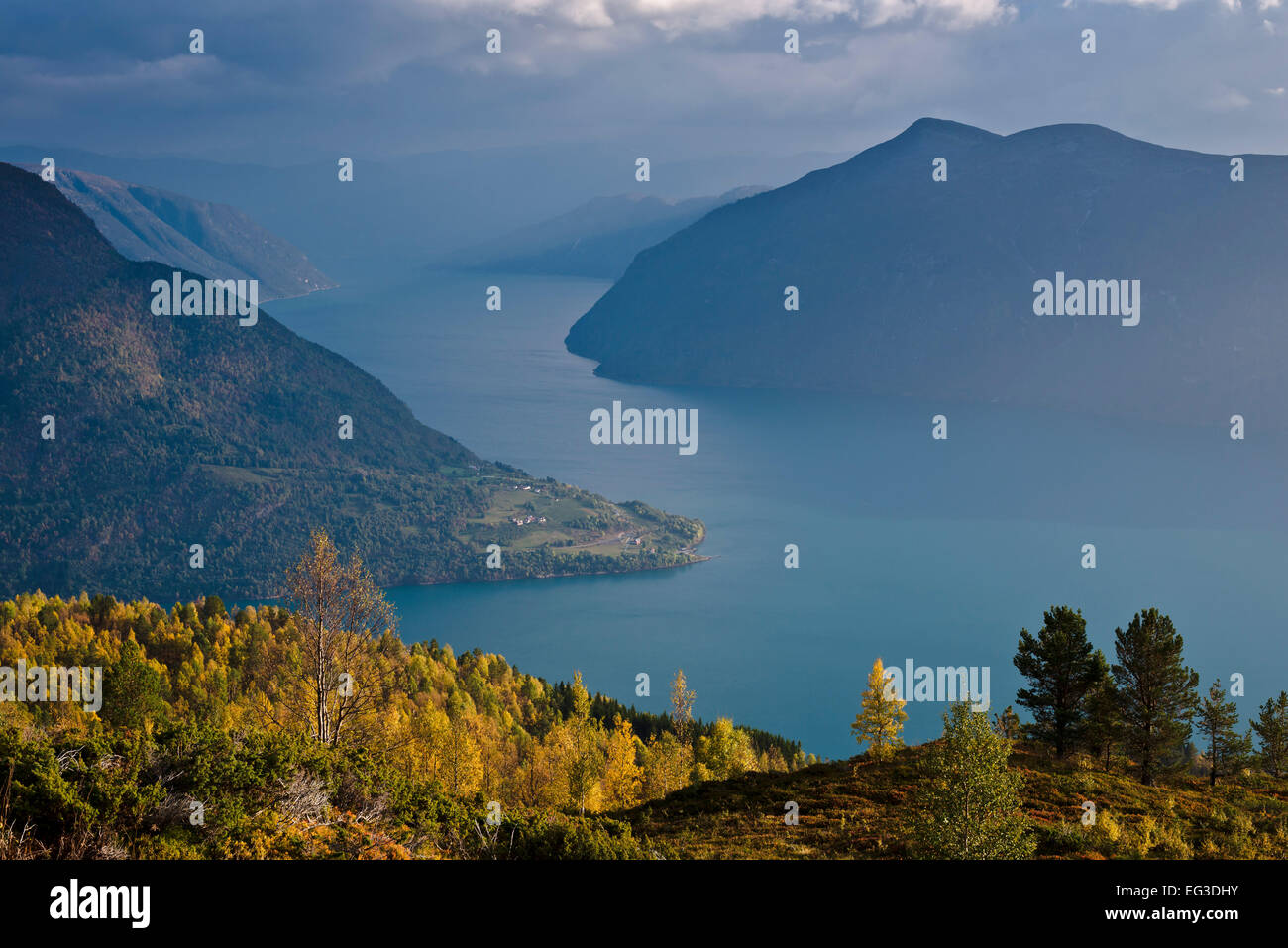Ornes solvorn hi-res stock photography and images - Alamy