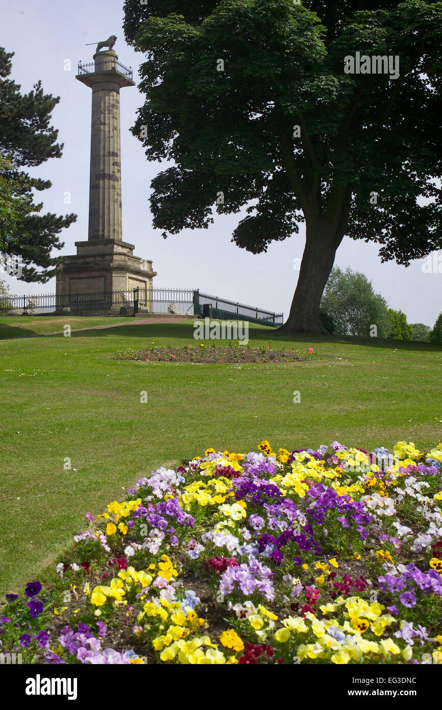 Percy Lion High Resolution Stock Photography and Images - Alamy