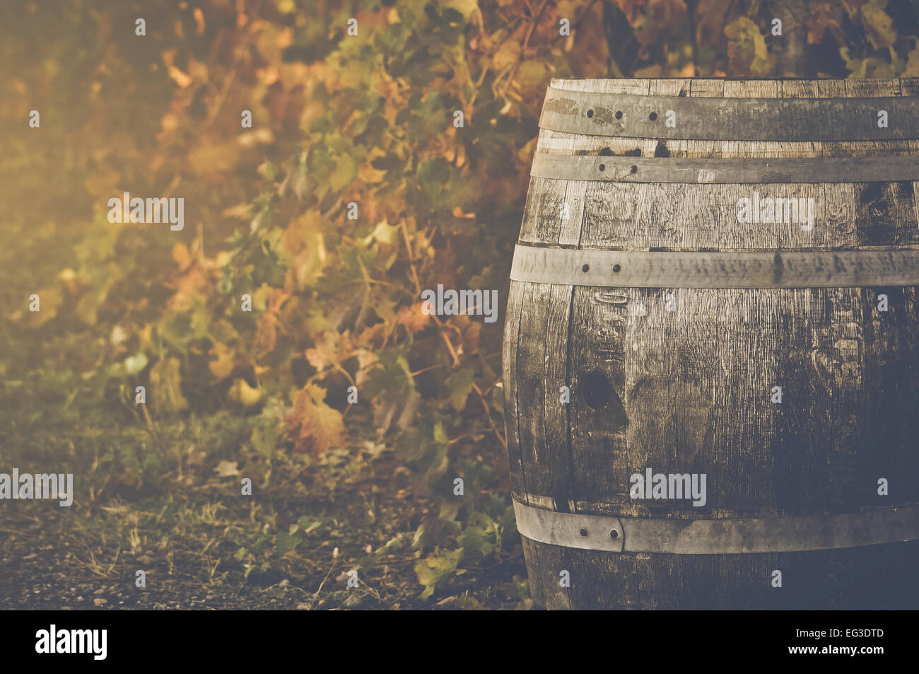 Wine Barrel outside in Retro Instagram Style Stock Photo - Alamy