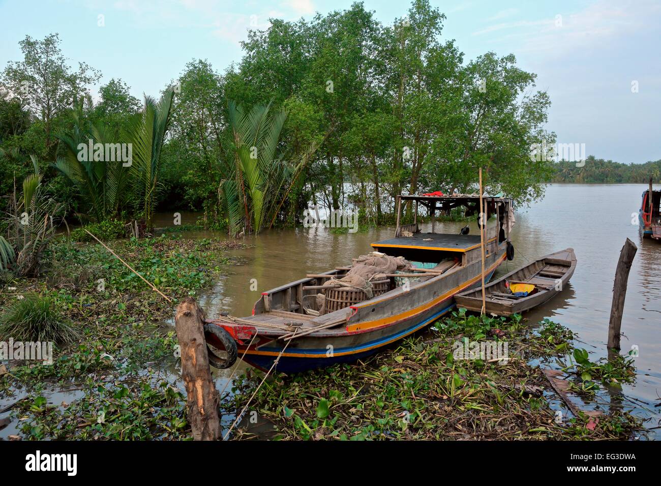 A traditional Vietnamese boat at Ben Tree in the Mekong Delta Stock ...