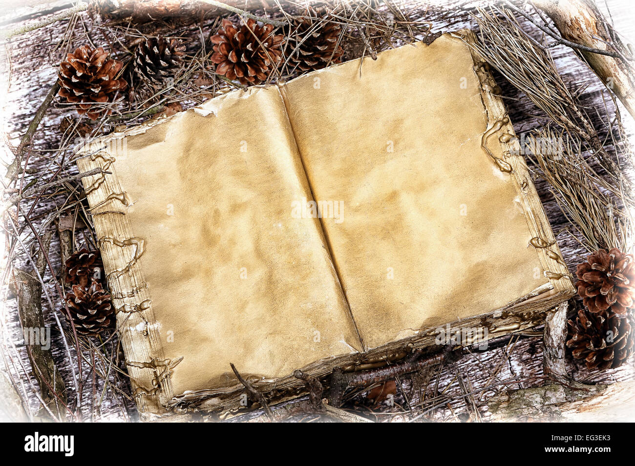 Opened old mystery book on natural forest wooden background with light ...