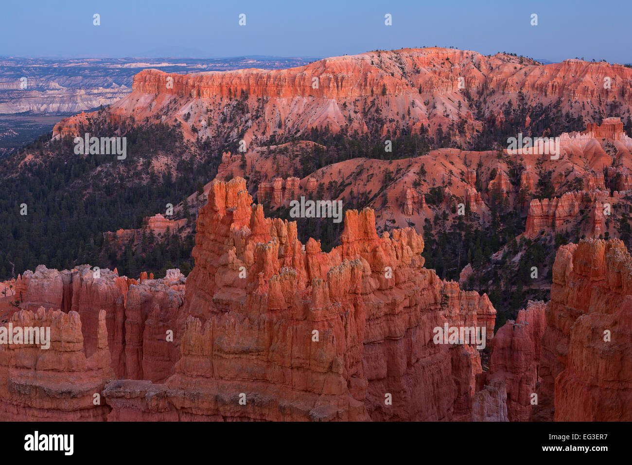 Bryce Canyon National Park at dusk, Utah. fall Stock Photo - Alamy