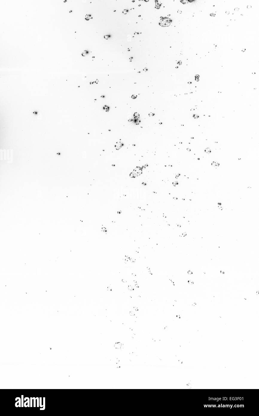 Abstract paint splatter Stock Photo - Alamy