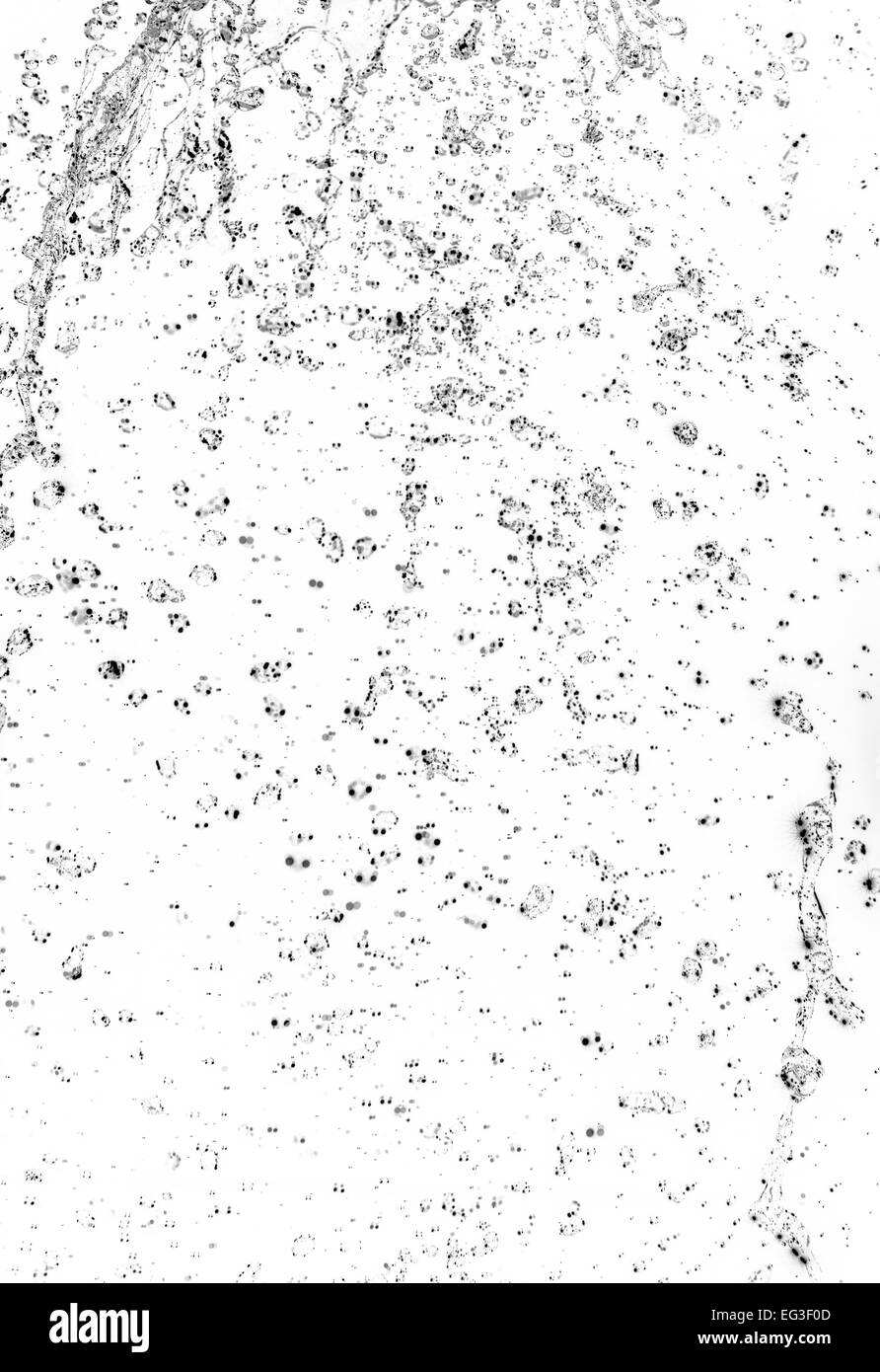 Paint Splatter Black and White Stock Photos & Images - Alamy