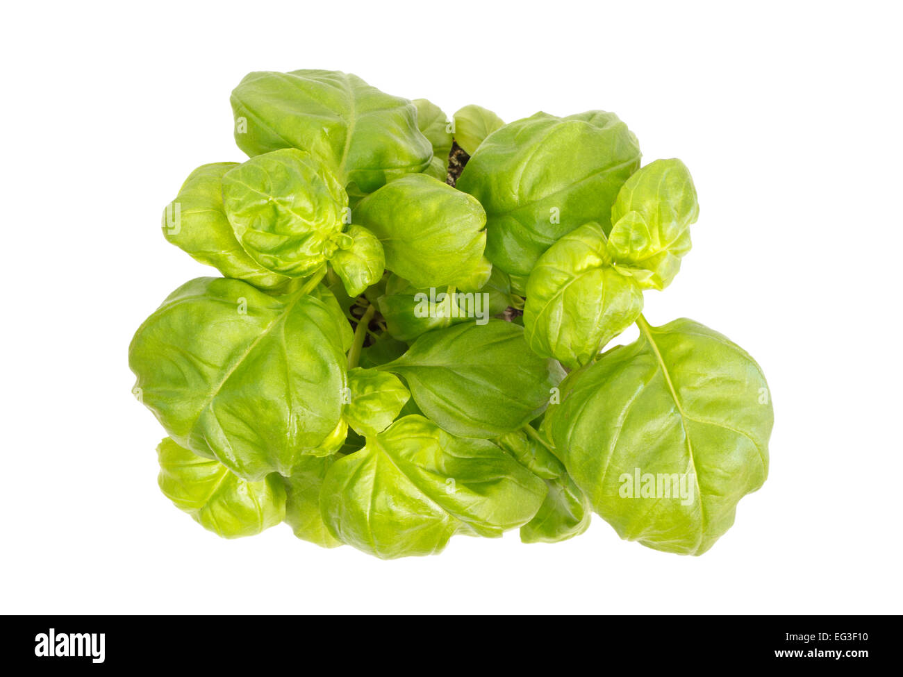 Top view kitchen Cut Out Stock Images & Pictures - Alamy