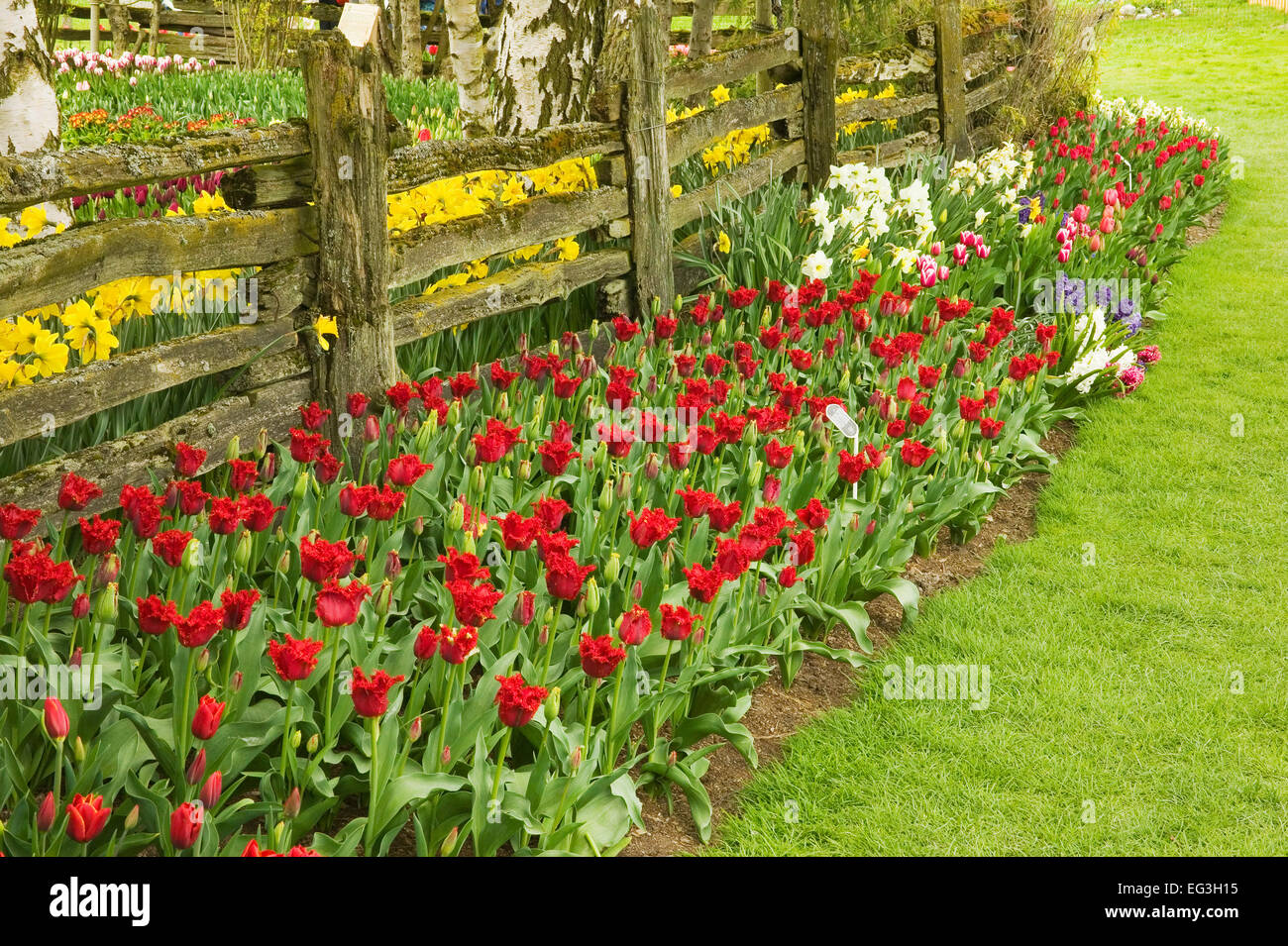 Striking red fence hi-res stock photography and images - Alamy