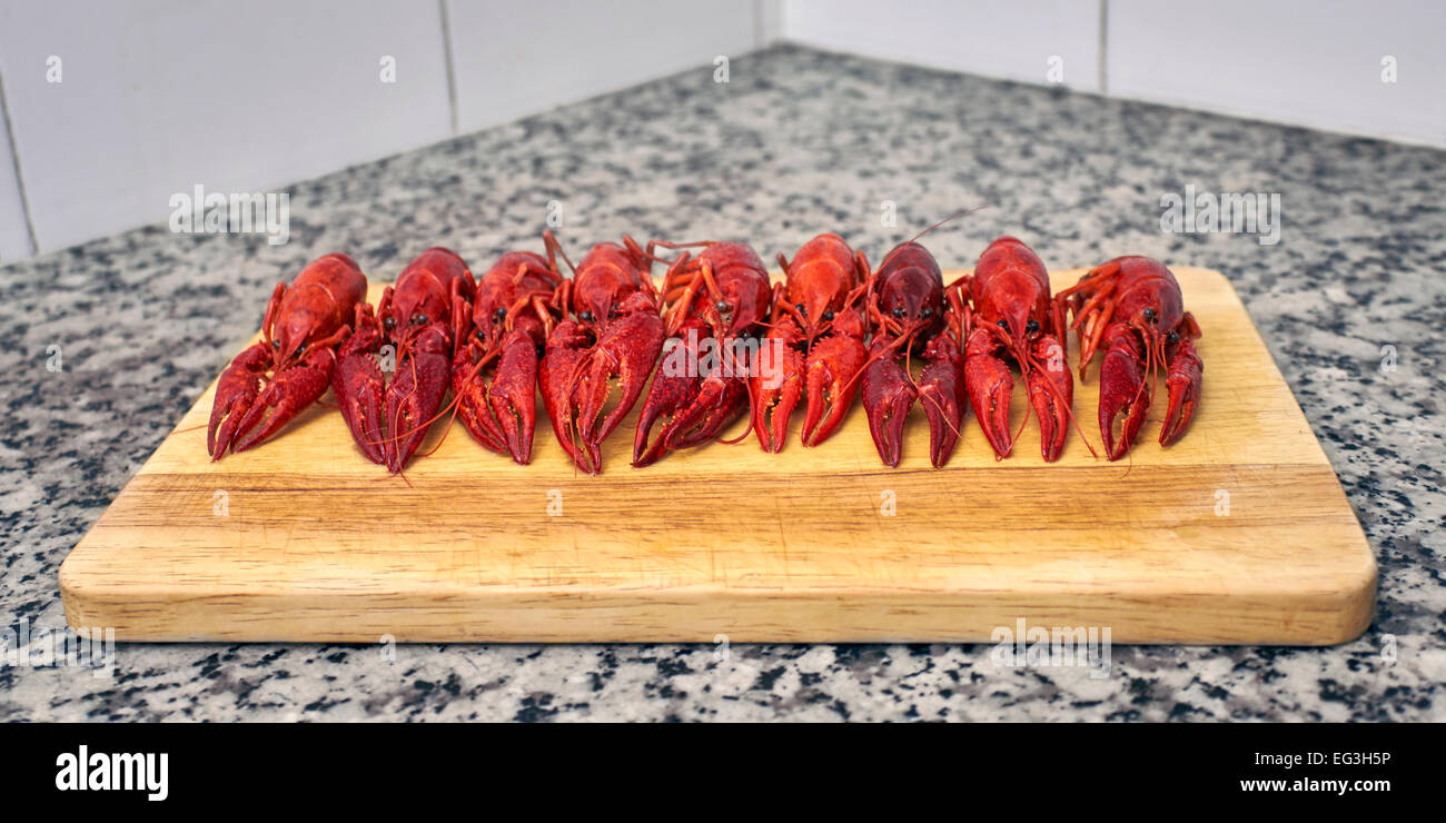 Nine red river crayfish on cutting board on gray granite worktop in ...
