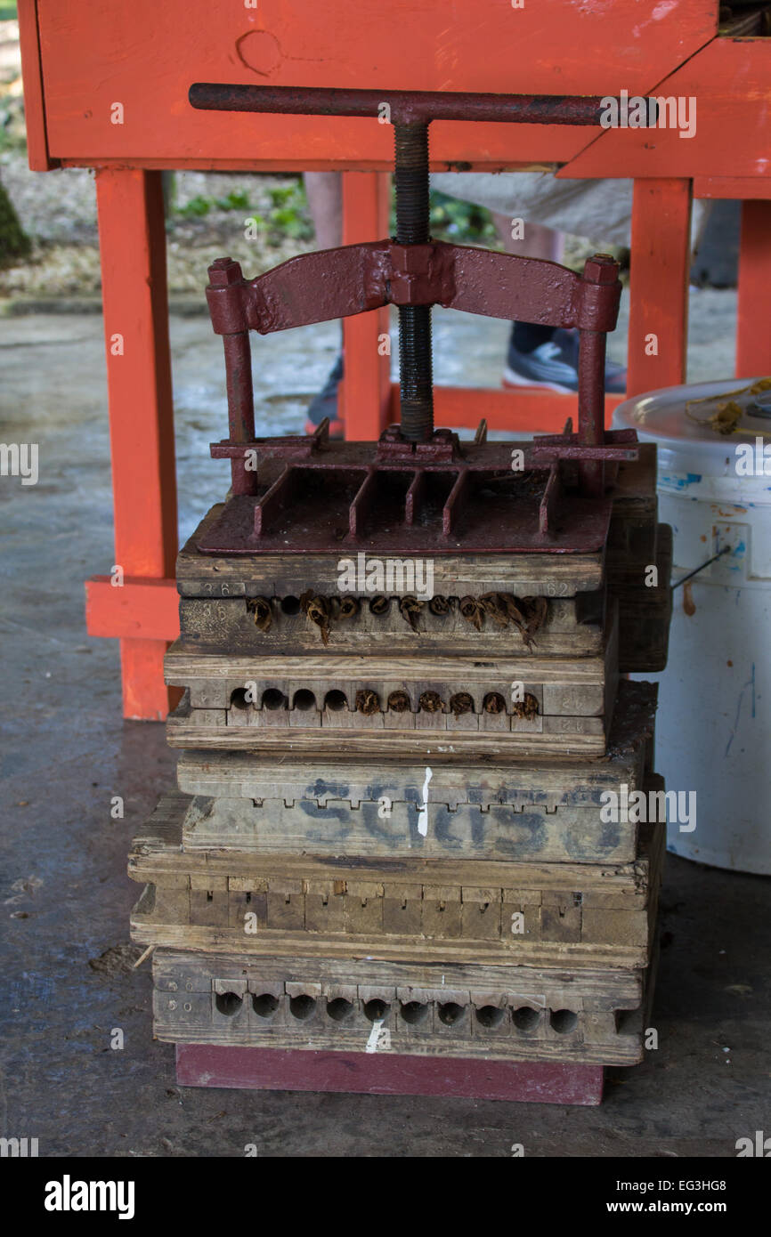 A cigar press presses cigars in a small cigar factory in the Dominican ...