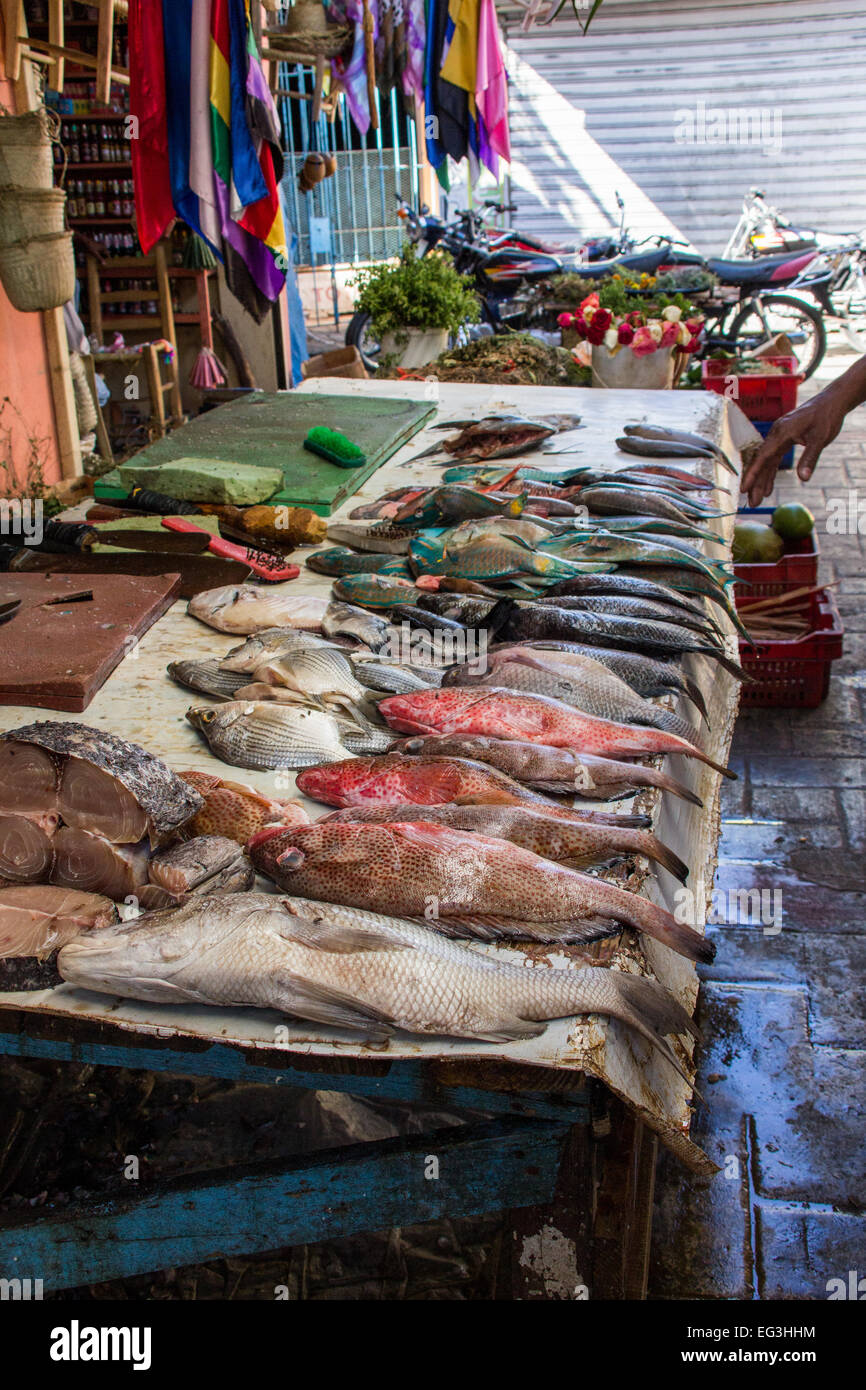 A table of fresh fish lies in a market in Higuey, Dominican Republic ...