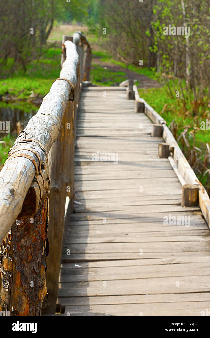 bridge in a spring forest Stock Photo - Alamy