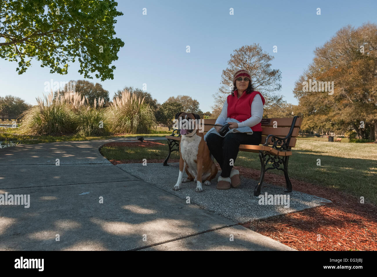 A woman and her boxer enjoying a sunny afternoon while sitting on a ...
