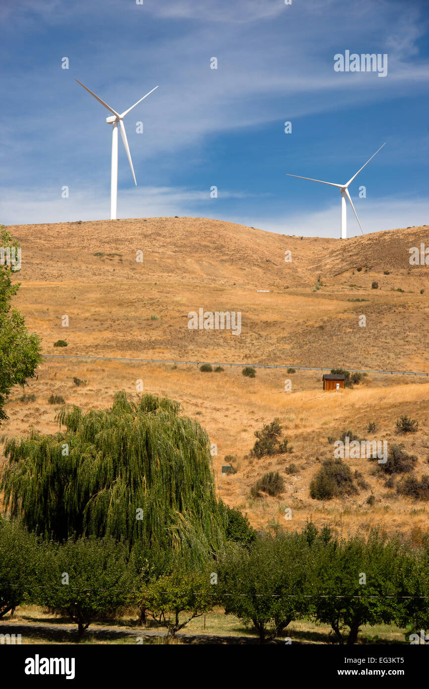 Trees and hillside with wind generators Stock Photo - Alamy