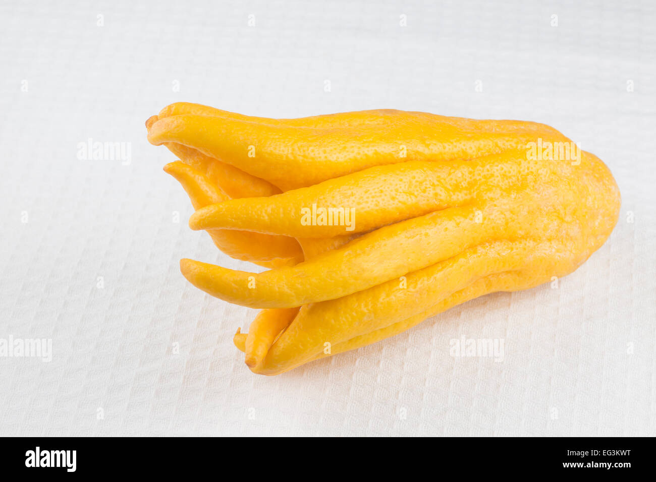 Buddha's Hand yellow fruit (Citrus medica sarcodactylis Stock Photo - Alamy