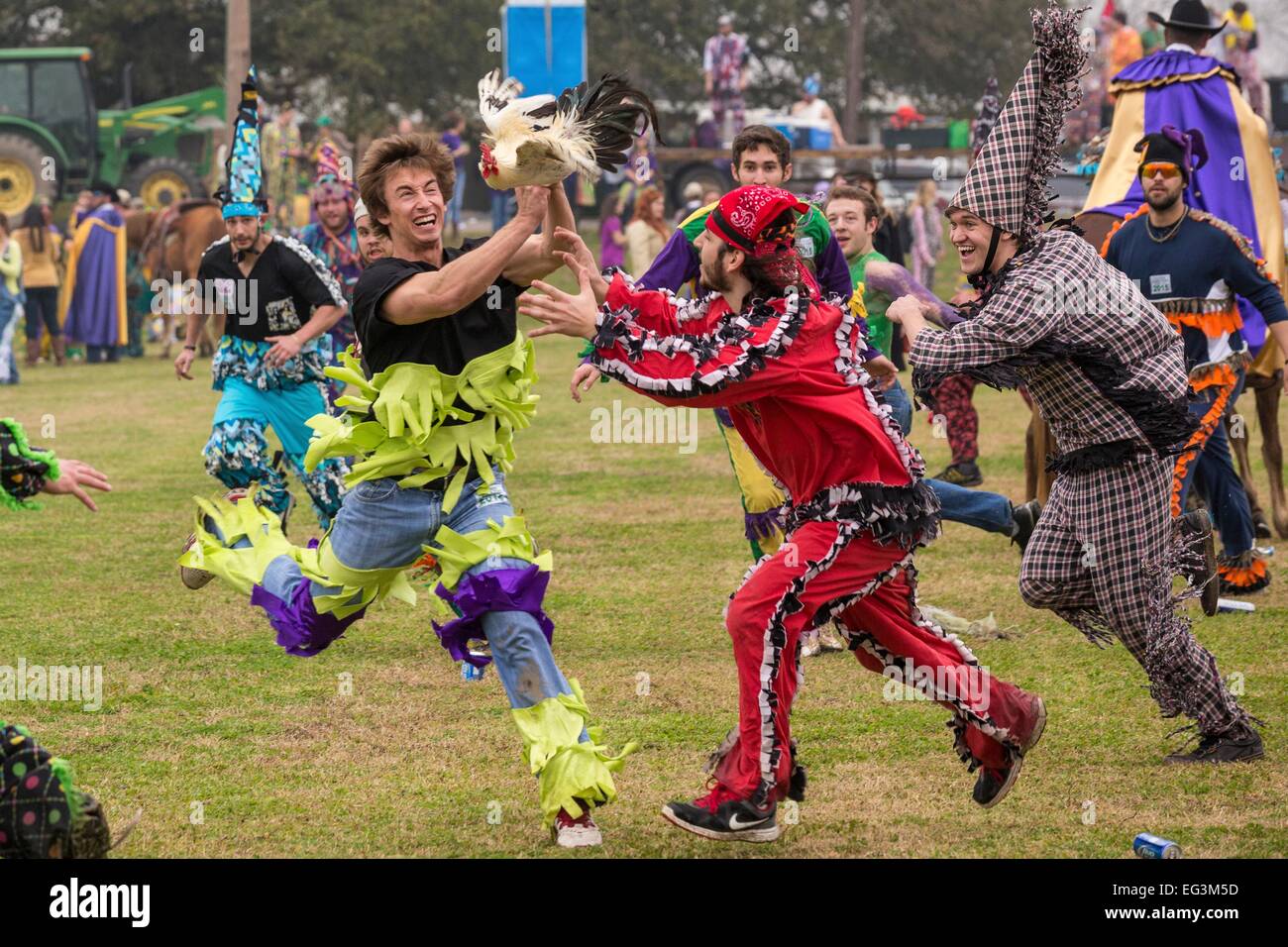 Revelers race to capture a live chicken during the traditional Cajun ...