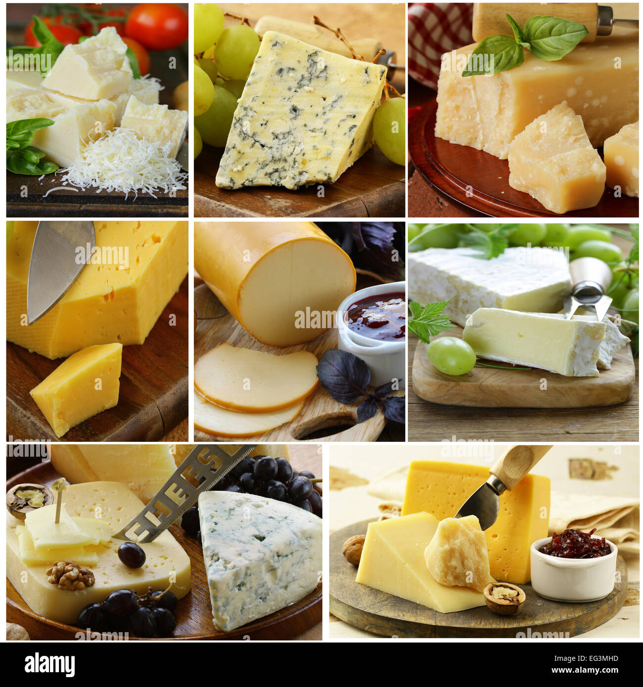 collage of various types of cheese (brie, parmesan, cheddar, blue Stock ...