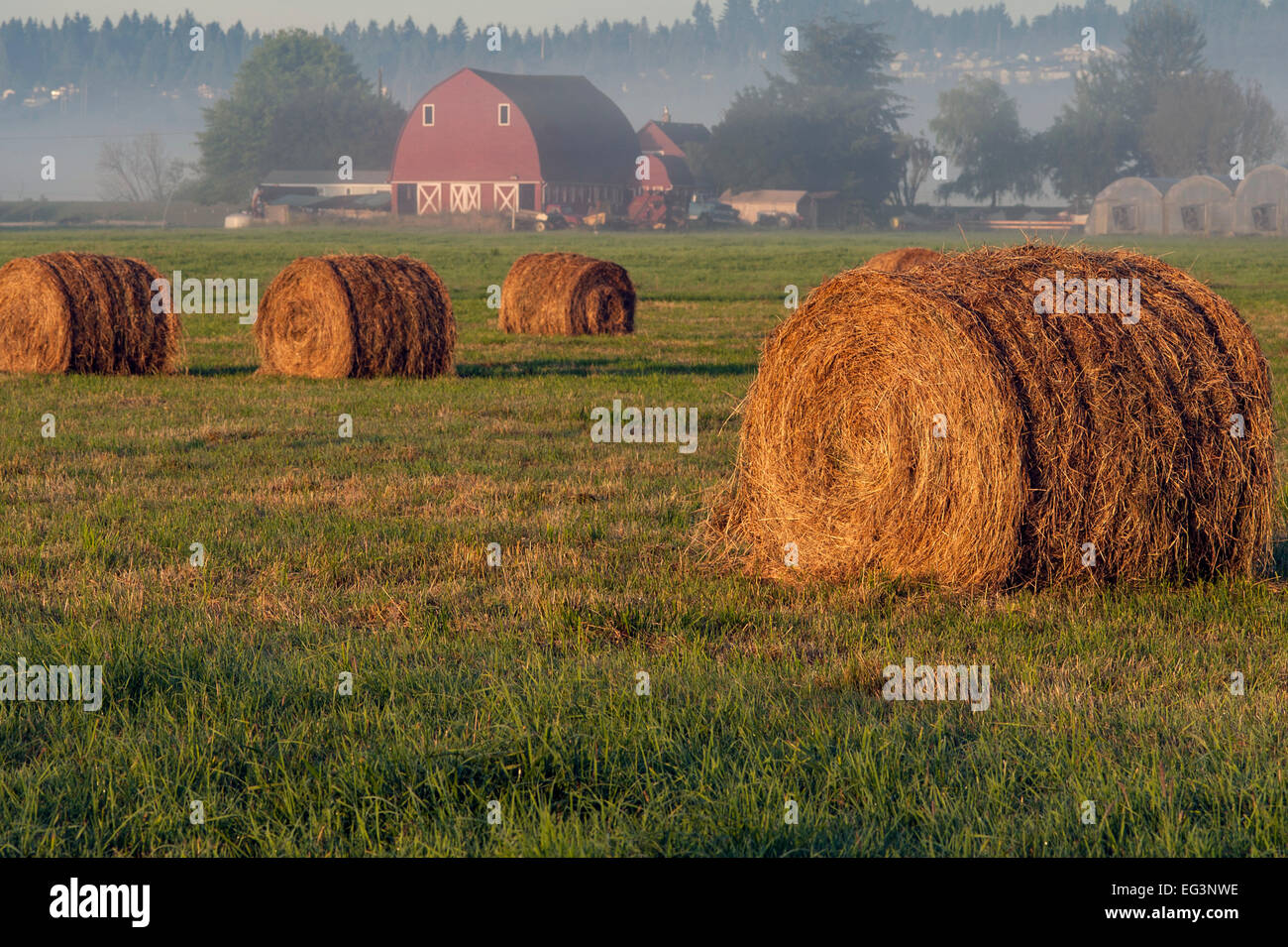 Rolled wheat hi-res stock photography and images - Alamy