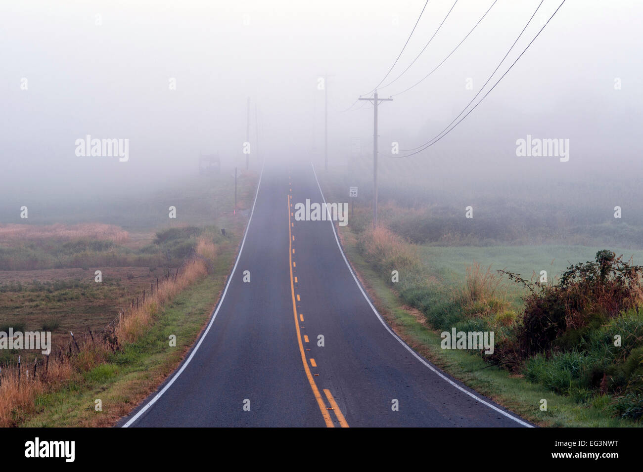 Driving through winding roads in hi-res stock photography and images ...