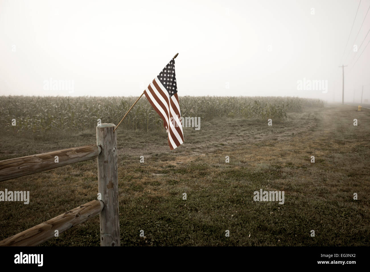 American Flag Field Corn High Resolution Stock Photography and Images ...