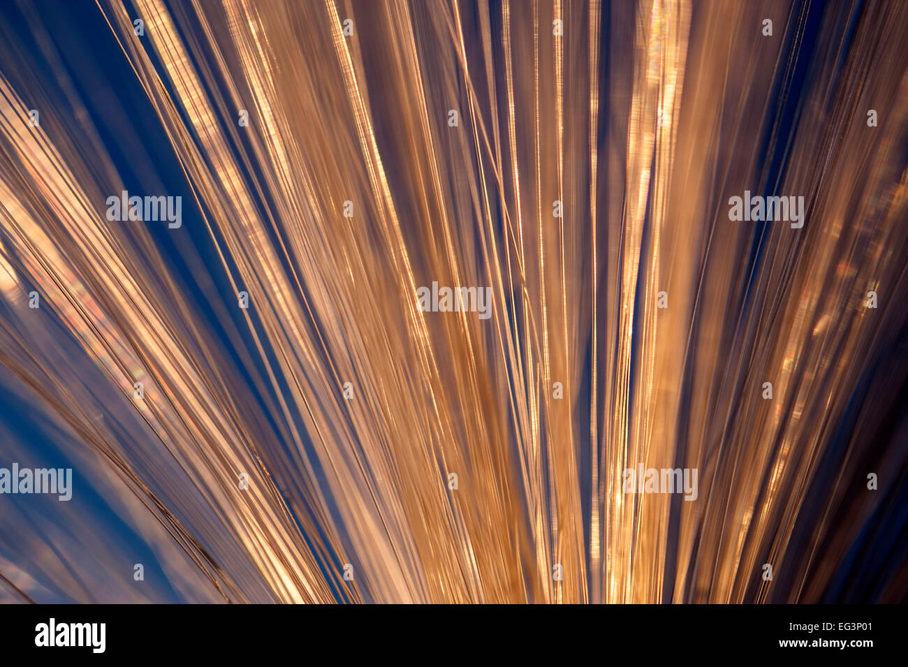 Fiber Optics close-up abstract Stock Photo - Alamy