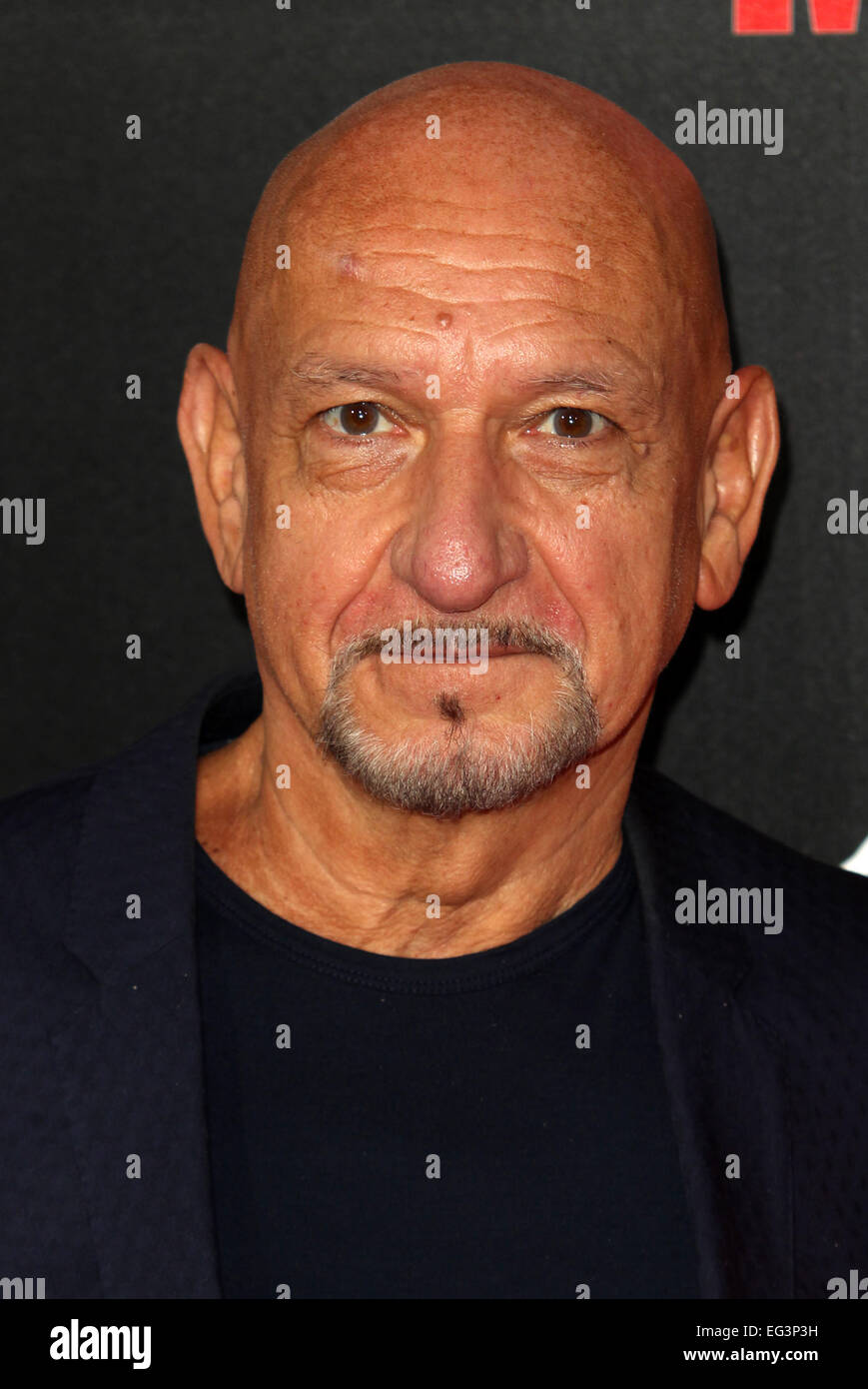 Los Angeles Premiere of 'The November Man' at TCL Chinese Theatre ...