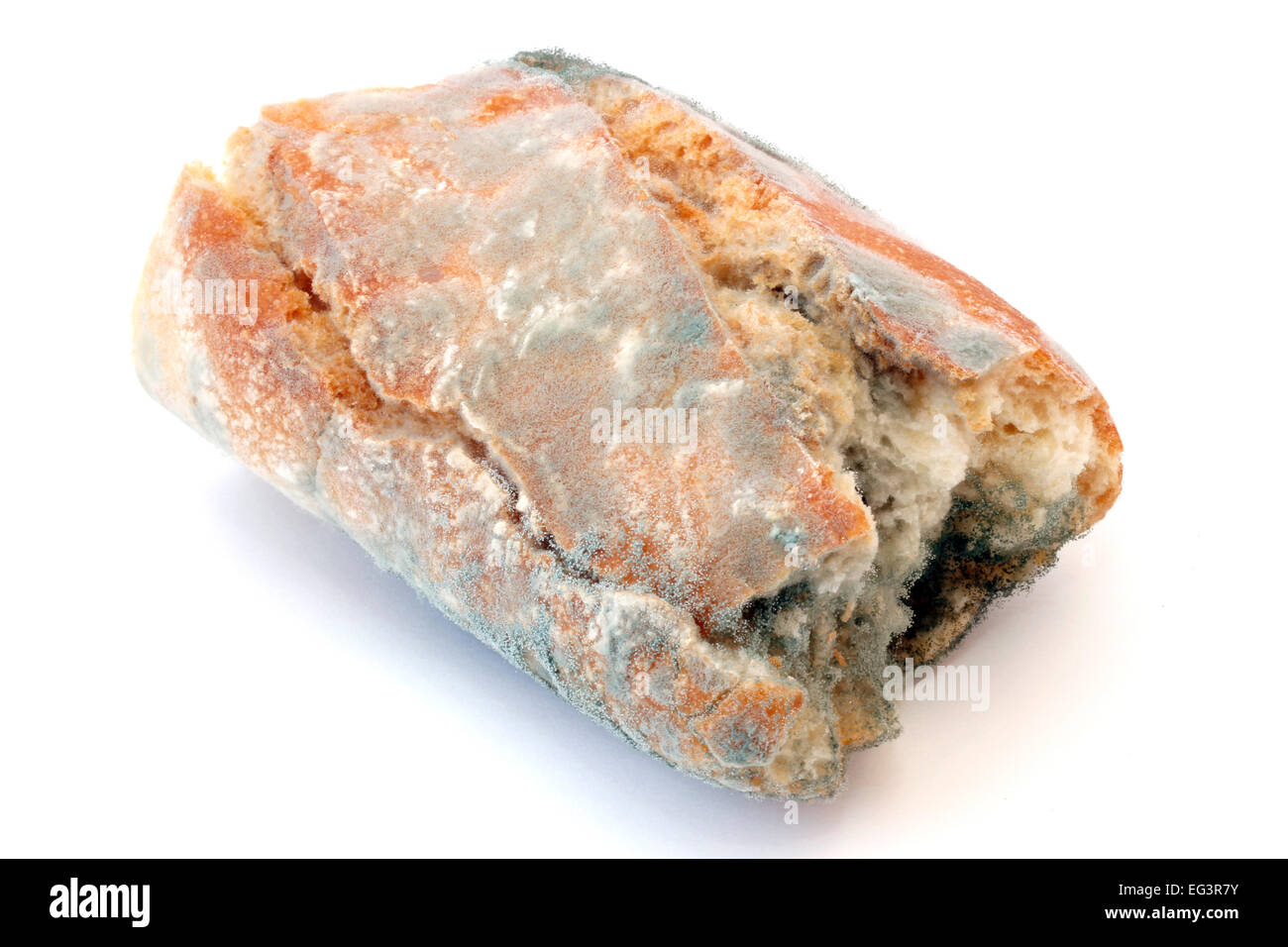 Rotten Bread High Resolution Stock Photography and Images - Alamy