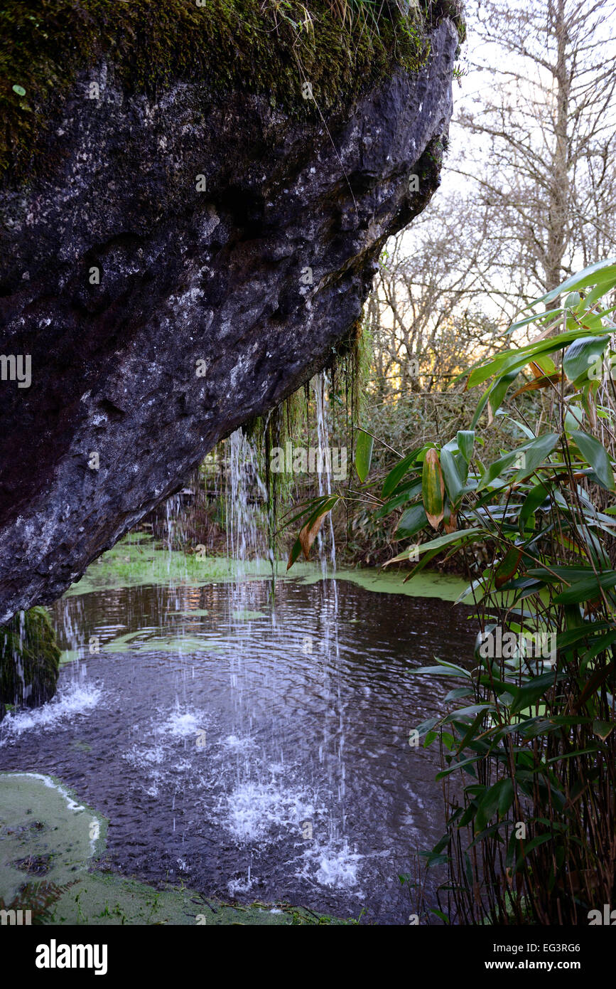 waterfall grotto blarney castle gardens cork ireland RM Floral winter ...