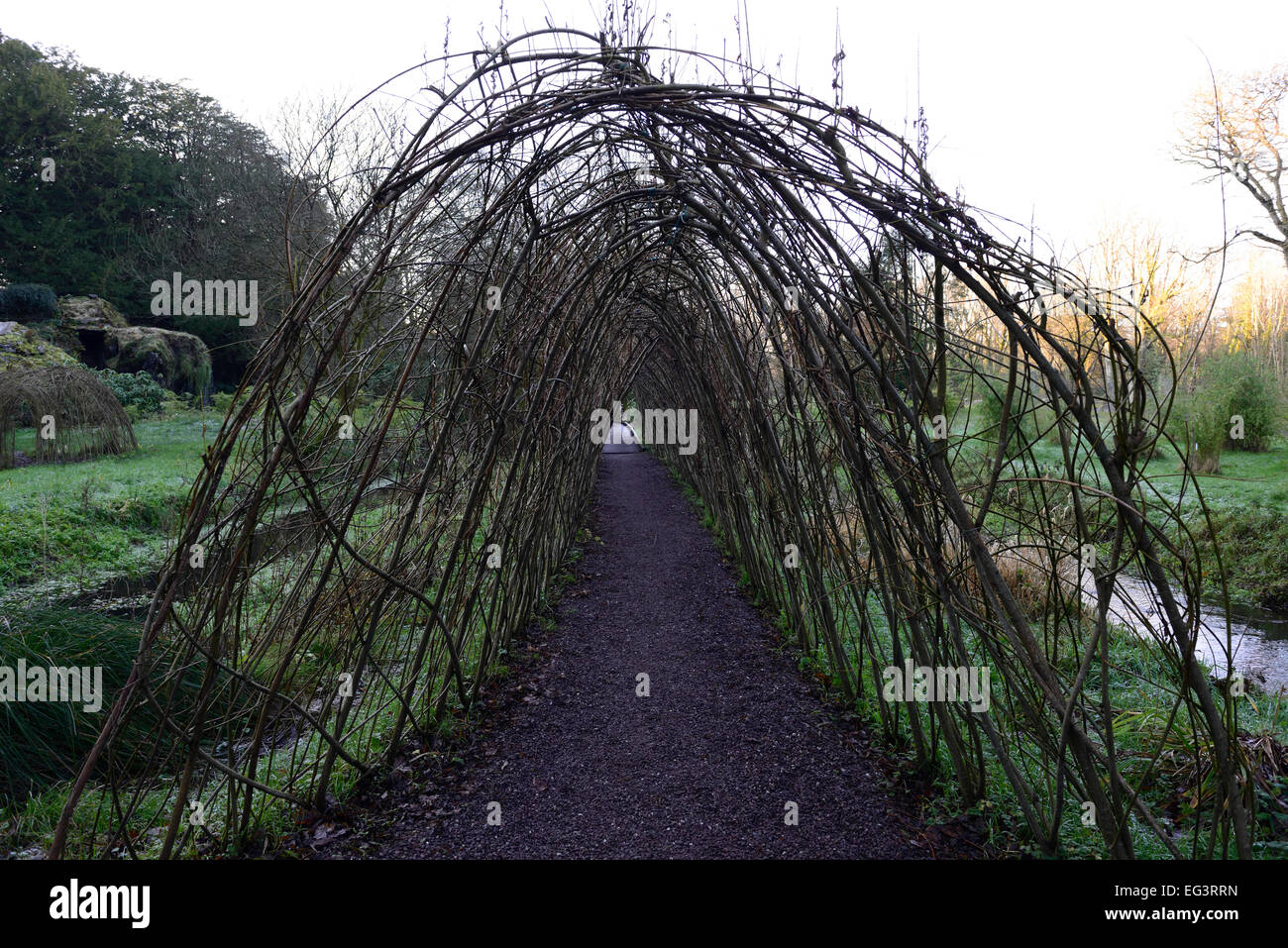 willow tunnel path pathway lead leading winter bare living sculpture ...