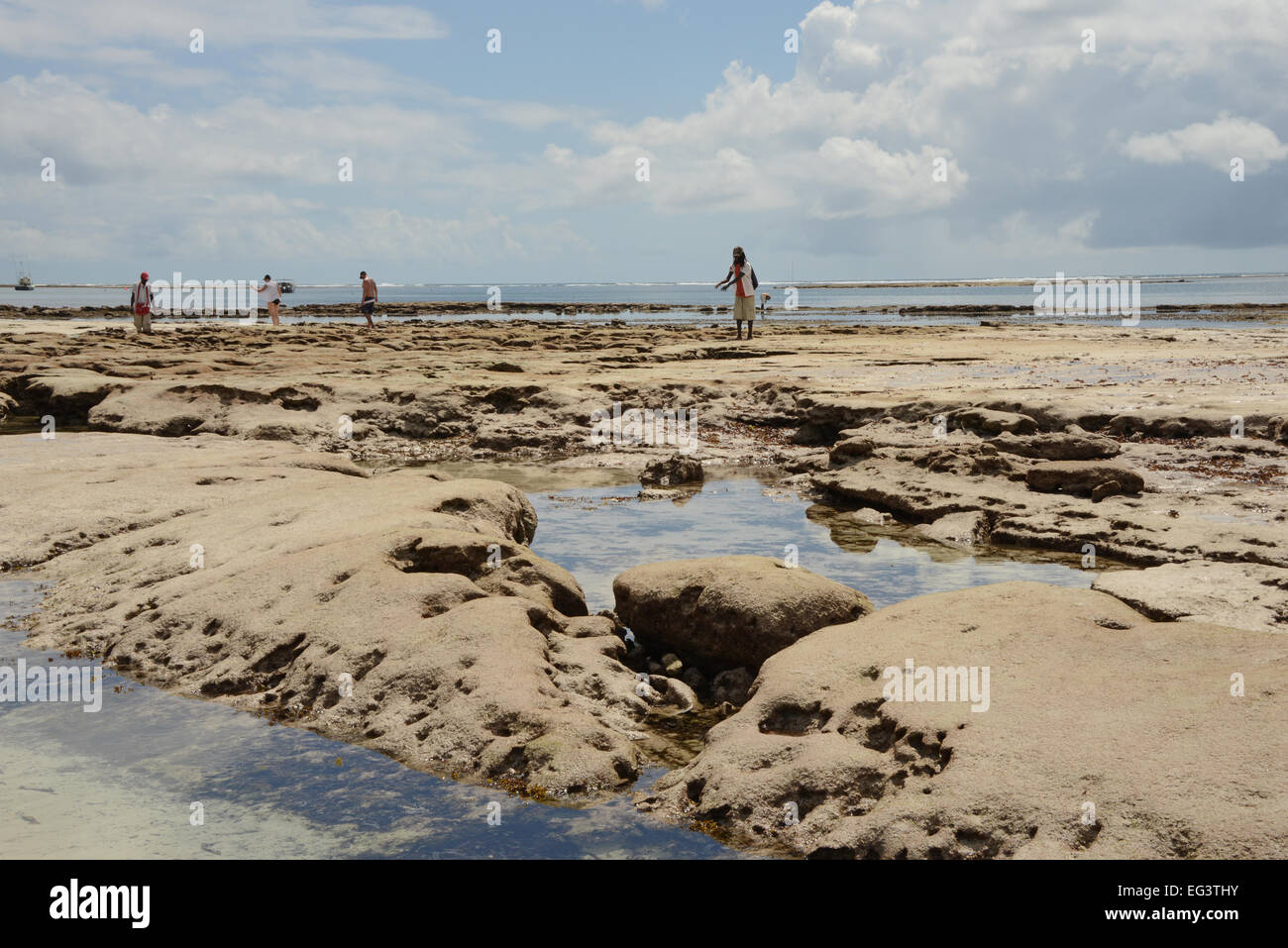 Turtle Bay Water High Resolution Stock Photography and Images - Alamy