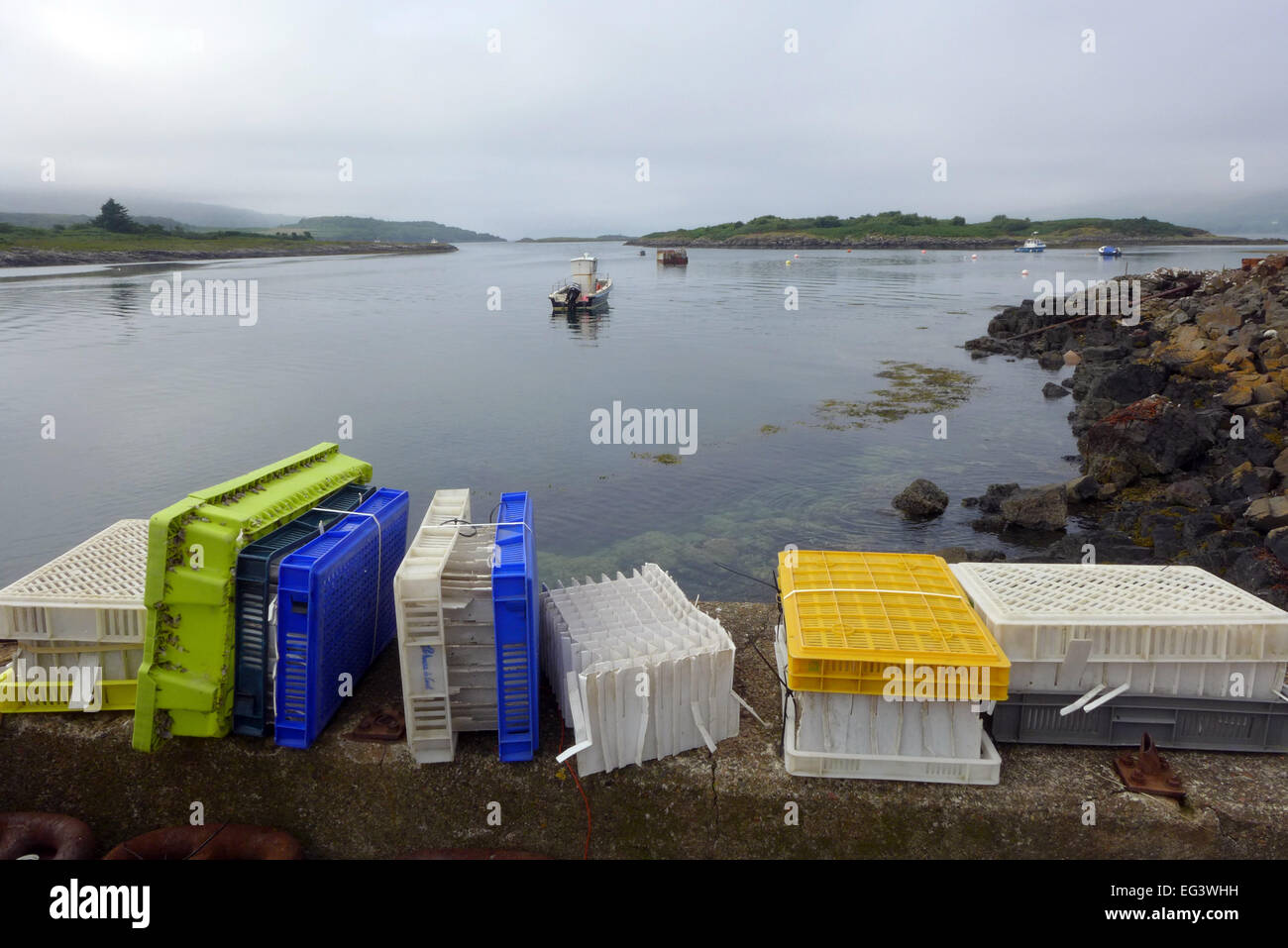 Plastic fishing containers hi-res stock photography and images - Alamy