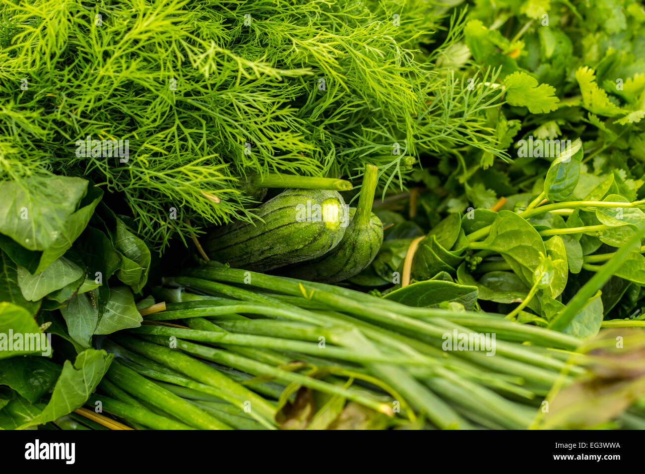 The Vegetables, chemical-free, organic vegetables, green vegetables ...